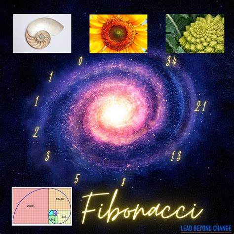 Martin Toet On Linkedin Agile Estimation Fibonacci