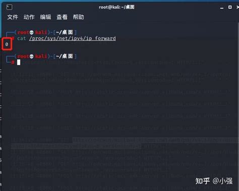 Kali局域网嗅探和断网拦截 知乎