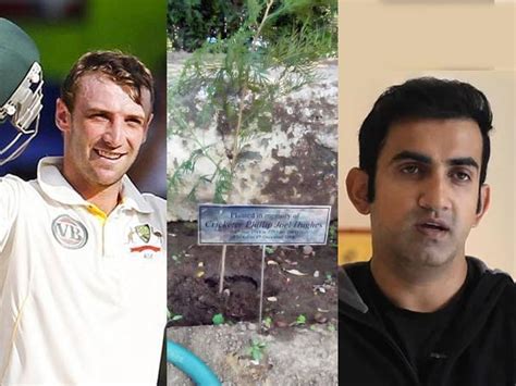 Picture Of Sapling Planted By Gautam Gambhir In Phil Hughes Memory 7 Years Ago Surfaces