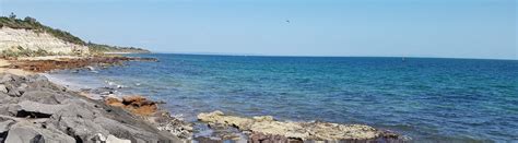 Power Automate Dayofyear Function