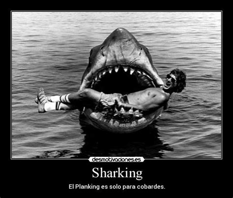 Imágenes Y Carteles De Sharking Desmotivaciones