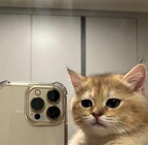 귀여운 인스타 프사 추천 32장♥︎ 카톡 페북 프사 공유 인형 곰돌이 사진 모음 네이버 블로그