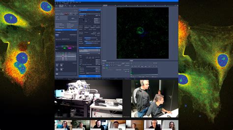 Explore The World Of Time Resolved Fluorescence Microscopy Join Our Online Course