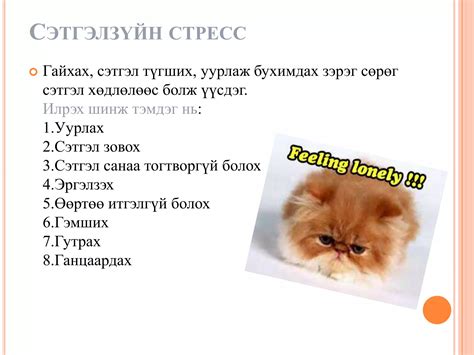стресс түүнийг хэрхэн удирдах вэ Pptx