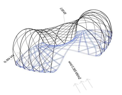 Elastic Timber Gridshell Parametric House