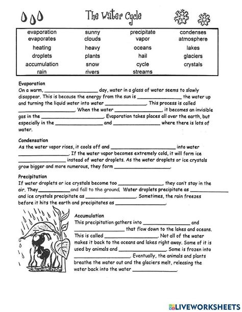 6th Review Water Cycle Worksheet Worksheets Library