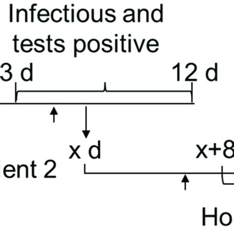 Overview Of Timing Of Infectivity Positive Test And Hospitalizations Download Scientific