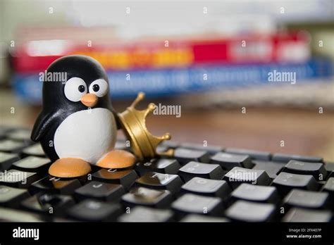 Computer Operating System Penguin