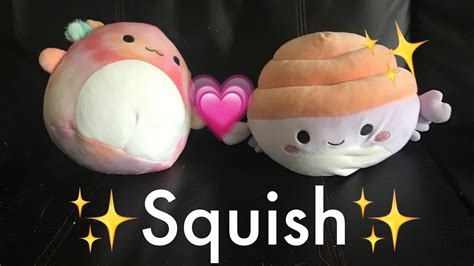 13 Squish The Introduction Youtube