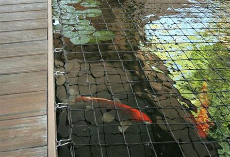invisible pond netting uk at stephanie lew blog
