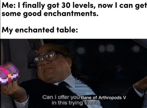 I Sure Love Killing Spiders R Minecraftmemes