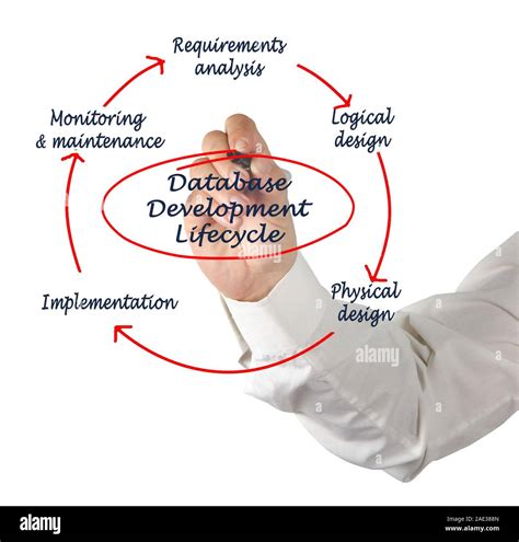 Database Development Lifecycle Stock Photo Alamy