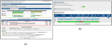 A Pfam Output From Ncbi B Pfam Output From Embl Database Download Scientific Diagram