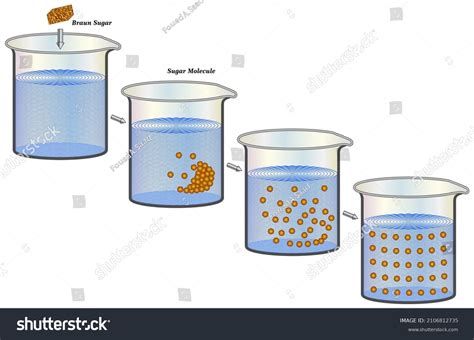 Diffusion Defined Movement Atoms Ions Molecules Stock Vector Royalty Free