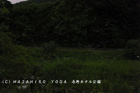 辰野ホタル公園（長野県辰野町） Bridge A Day