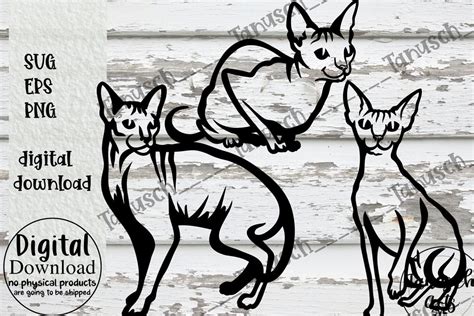 Sphynx Cat SVG Bundle Naked Cat Silhouette Ar Rear Window Sticker Cut Files For Cricut Digital