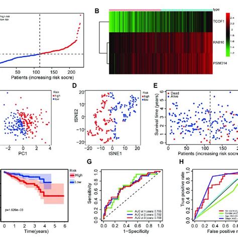 Validation Of The Prognostic Prediction Accuracy Of The Signature In Download Scientific