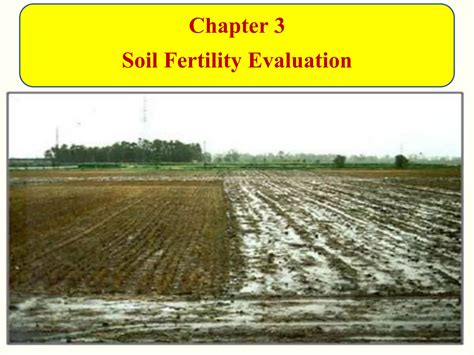 Soil Fertility Evaluation Ppt PDF