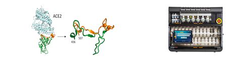 Obtaining Complex Peptides Thanks To Efficient Technologies Is No