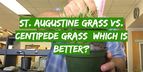 How To Tell The Difference Between St Augustine And Centipede Grass At