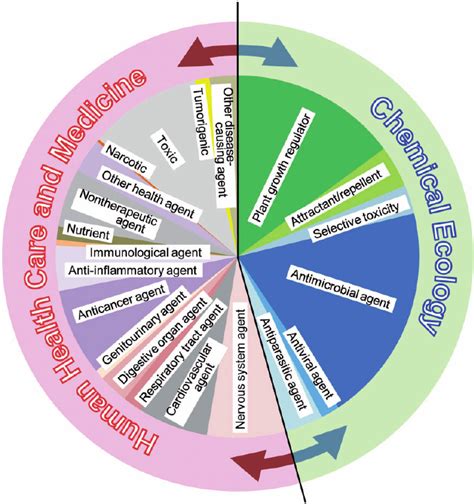Pie Chart Showing The Relative Frequencies Of The 21 Metabolite