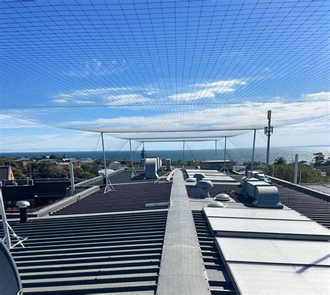 Melbourne S Trusted Bird Netting Reliable Effective