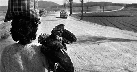 사진보다 더 사랑한 건 사람이었네