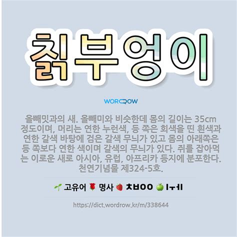 🌟칡부엉이 올빼밋과의 새 올빼미와 비슷한데 몸의 길이는 35cm 정도이며 머리는 연한 누런색 등 쪽 표준국어대사전