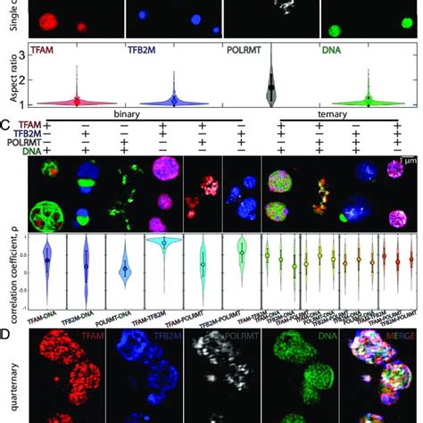 phase behavior of individual binary ternary and quaternary
