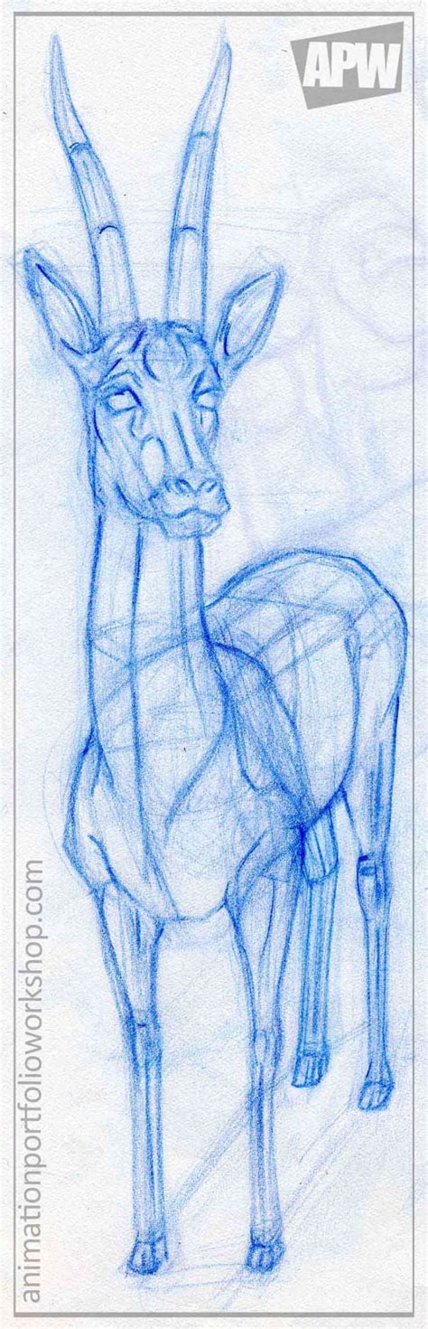 Mitch Yager Animation Portfolio Workshop