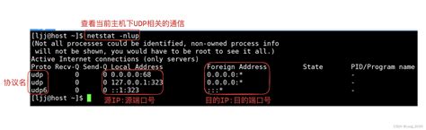 【网络】udp协议 Csdn博客