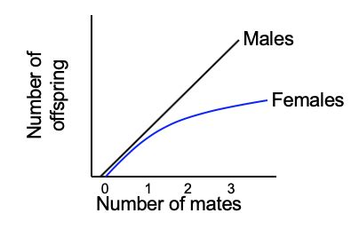 Evo Sex Exam Flashcards Quizlet