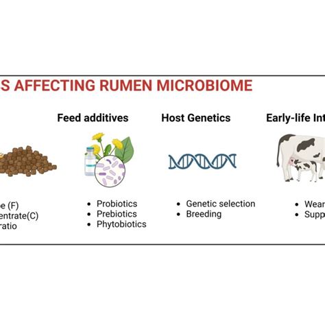 Factors Affecting The Rumen Microbiome Diet Is The Major Factor