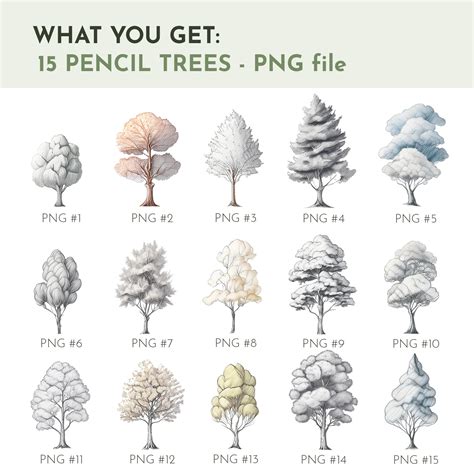 Photoshop Brush Set PENCIL TREES Abr Png Illustration Pack High Resolution Brushes