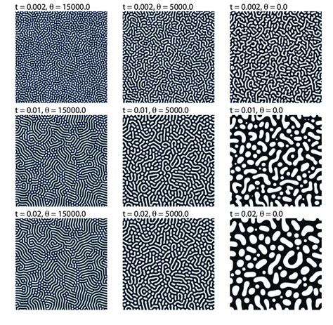 Approximate Solutions To The Modified Cahn Hilliard Equation 1a 1b Download Scientific