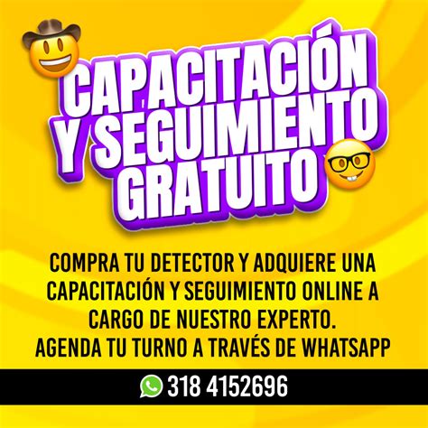 Detector De Metales Minelab X Terra Pro Master Detector Colombia