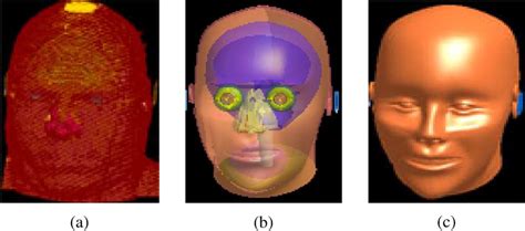 Human Head Models A Vhp B Cad C Sam Download Scientific Diagram