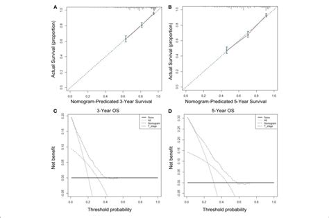 Calibration Curves And Decision Curve For Os Prediction A 3 Year