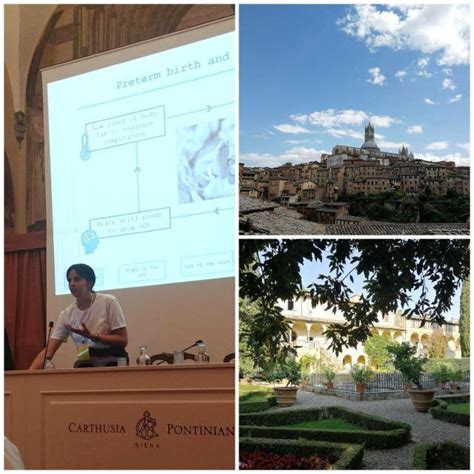 Preterm Infants Limb Pose Estimation From Depth Images Using Convolutional Neural Networks