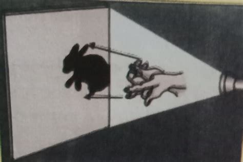 Lesson Planning Of Shadow Formed By Sunlight Subject General Science Grade 4th