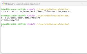 Bash How To Copy And Rename A File Collecting Wisdom