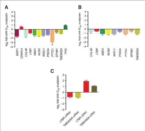 Validation Of Genes Identified In An Sirna Screen For Genes Regulating