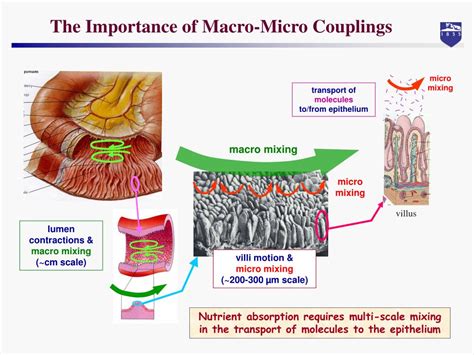 Ppt Micro Scale Transport As A Critical Link Between Molecular Scale