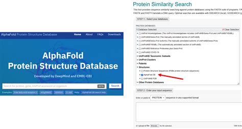 Alphafold Based Databases And Fully Fledged Easy To Use Online