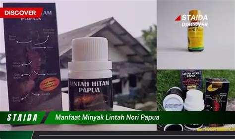 Temukan 7 Manfaat Minyak Lintah Nori Papua yang Jarang Diketahui
