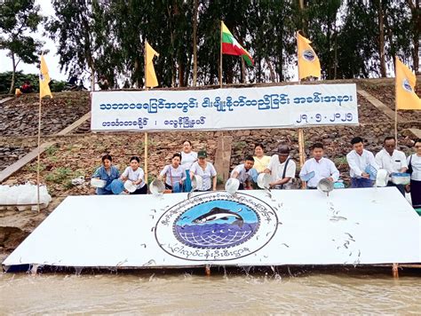 ဇလွန်မြို့တွင် သဘာဝရေပြင် အတွင်းသို့ ငါးမျိုးစိုက်ထည့်ပွဲ အခမ်းအနားကျင်းပ Information And