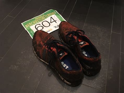 Runx Beeckestijn Cross 27 января 2019 My Next Best Race Блог о