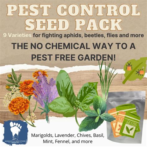 Pest Control Seed Pack Sasquatch Seed Store