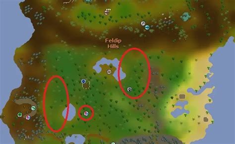 Ultimate Osrs Chinchompa Range Guide Osrs Money Making Guide