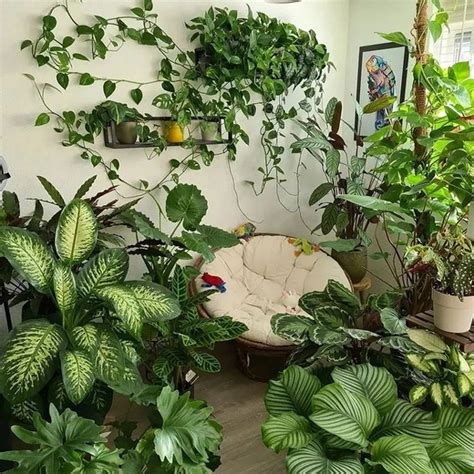 تزیین منزل با گل طبیعی تزیین منزل با وسایل دور ریختنی